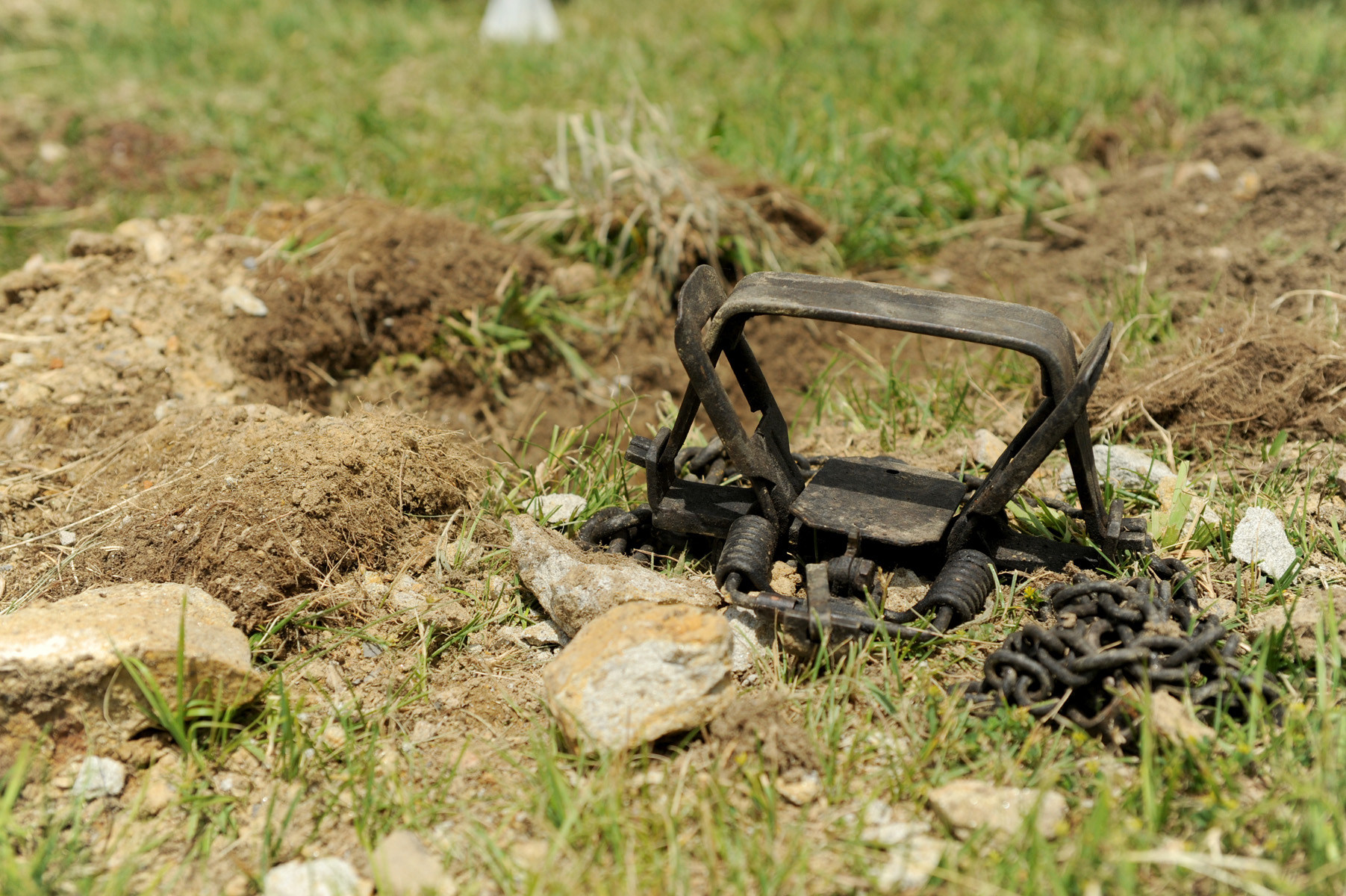 Anti-Trapping Bill Introduced in New Hampshire - Sportsmen's Alliance