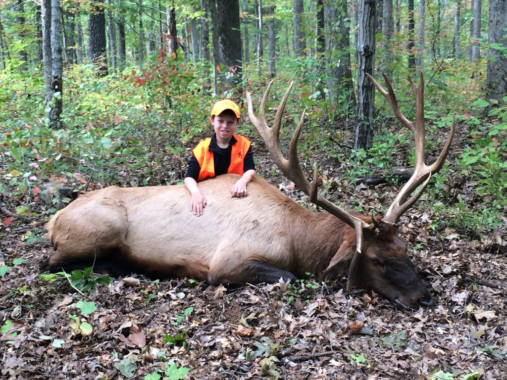 The Drop-Tine Bull - Sportsmen's Alliance