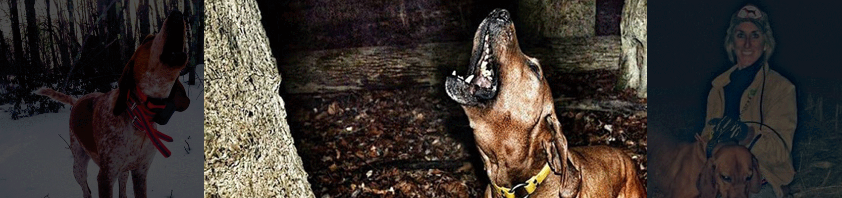 An Introduction to ‘Hound Life’