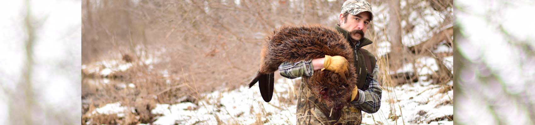 Victory! Oregon Beaver Trapping Prohibition Fails - Sportsmen's Alliance