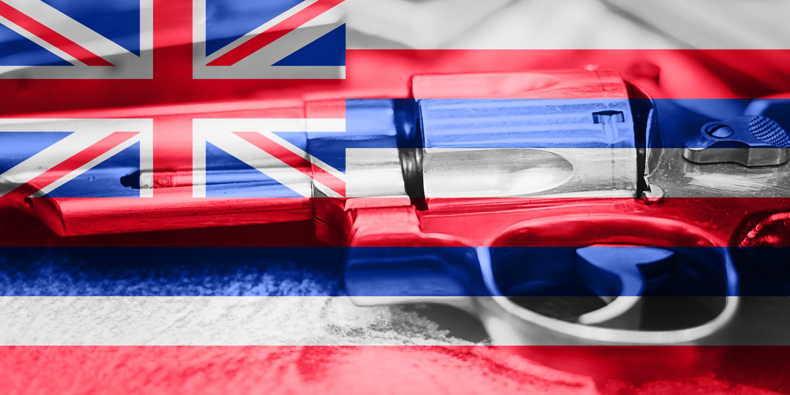 SAF Fights Hawaii Gun Control in Landmark Second Amendment Case ...